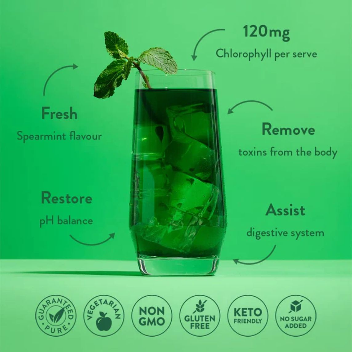 Nature's Sunshine Liquid Chlorophyll 30 Stick Packs – Australian Health ...